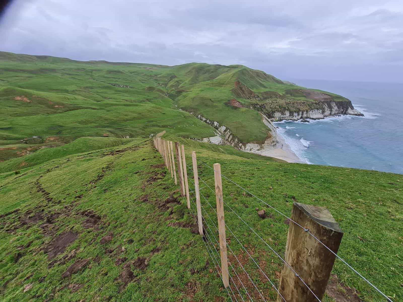 Nga Whenua Rahui | Pukerewa Station Trust