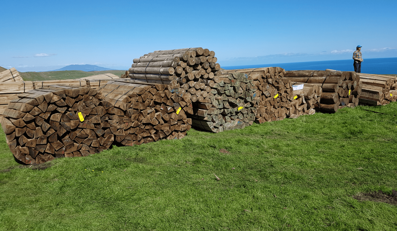 Coastal & Wetlands Fencing | Pukerewa Station Trust